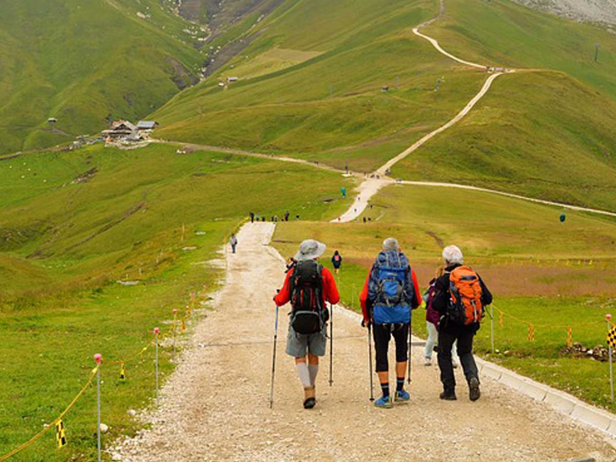 Unveiling the Vital Role of The Ramblers